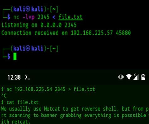 Использование Netcat в пентесте на Kali Linux