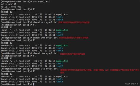 Linux 目录操作、文件操作命令、chmod文件权限管理控制linux Bat Chmod Csdn博客