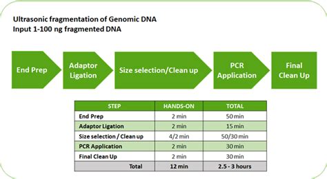 Next Generation Sequencing Intact Genomics