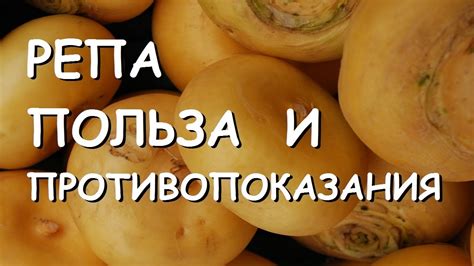 Репа. Польза и вред для здоровья. - YouTube