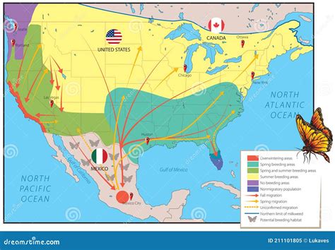 Mapa De Migración Mariposa Monarca Ilustración del Vector Ilustración