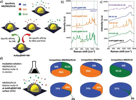 A Schematic View Of The Competitive Rebinding Assays B Sers Spectra