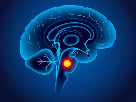 Gastroenterology And Gi Surgery Innovative Care For Digestive
