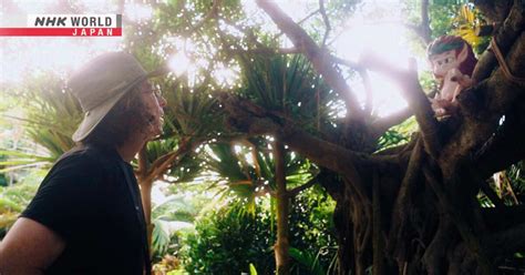 Yokai Exploring Hidden Japanese Folklore Kijimuna Time And Tide Nhk World Japan