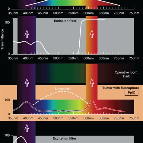 Schematic View Of The Concept Of Icg Fluorescence Visualization Using A