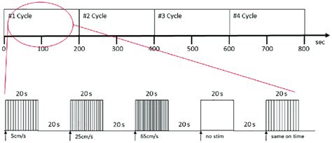 Experiment Stimulus Design Random Balanced Experimental Block Design Download Scientific