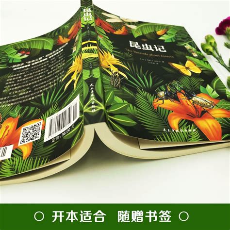 昆虫记法布尔正版原著完整版全集八年级上册初中生课外阅读书籍青少年中小学生经典名著科普系列文学语文课程化正版包邮虎窝淘