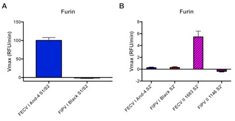 A Fluorogenic Peptide Cleavage Assay To Screen For Proteolytic Activity