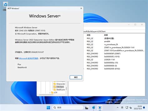 Windows Server 2025 Datacenter Azure Edition 10 0 25967 1010 Rs Prerelease Flt 230929 1141