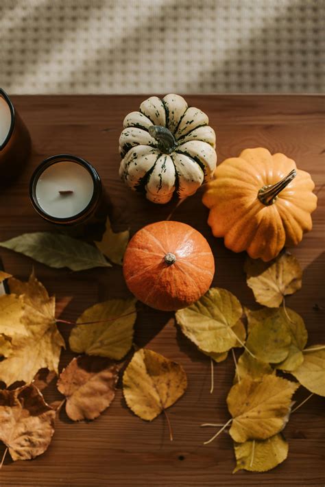 Fall Aesthetic Photos Download The Best Free Fall Aesthetic Stock