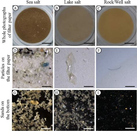 Scientists Chinese Table Salt Contains Microplastic
