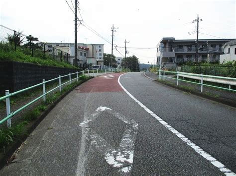 『日野市郷土資料館・自然科学と遺跡出土物 編』日野・昭島東京の旅行記・ブログ By ほわほわわかな。さん【フォートラベル】