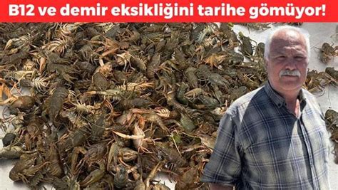 8 aydır süren av yasağı kalktı, Eğirdir'den Avrupa'ya kilo kilo satılıyor! Kilosu 135 TL: B12 ...