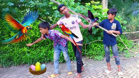 পাখি ধরতে গিয়ে বিপদে পড়লো As Team99 Official New Comedy Videos