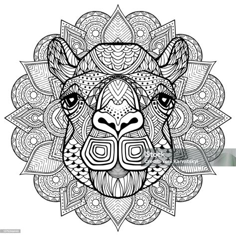 카멜 헤드는 세밀한 스타일로 꾸며질 수 있습니다 젠틀글 낙타 부족 설계를 위한 벡터 패턴입니다 마름모 삼각형기 와 기하학적 민족 모티브 그래픽 스타일입니다 인쇄 웹 섬유