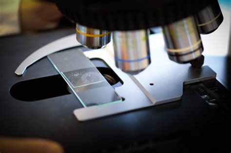 Microscope And Slide 2 Aquaenviro