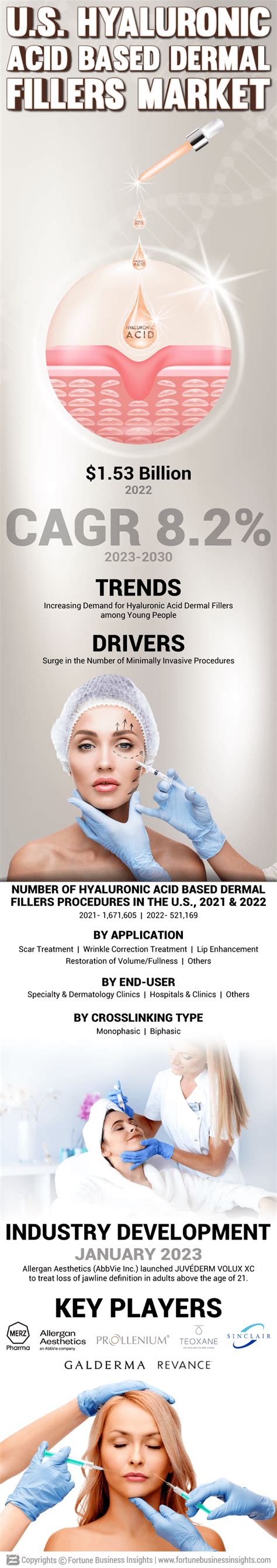 Infographics Us Hyaluronic Acid Based Dermal Fillers Market
