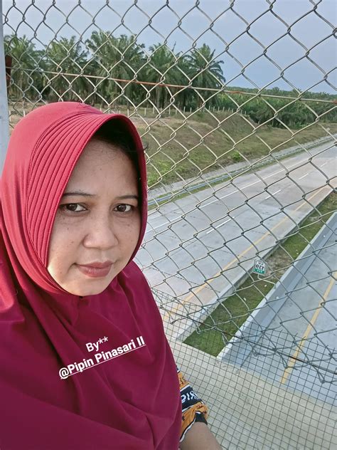 Pipin Pinasari Ii