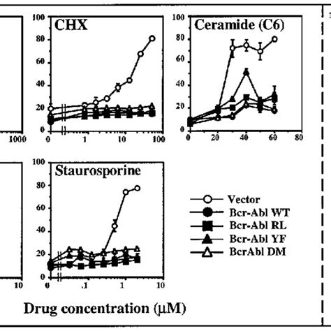 Pef Flagpgkpuro Expression Vectors Pef Bos Vector Mizushima And