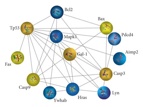 The Ppi Network Of Differentially Expressed Proteins Was Analyzed Using