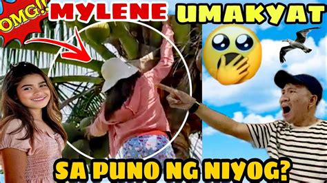HALA GRABE,MYLENE UMAKYAT SA PUNO NG NIYOG? :CTTO:tito herns - YouTube
