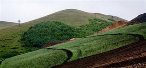 Загвар нөхөн сэргээлт хийх зургаан аймгийг сонгожээ