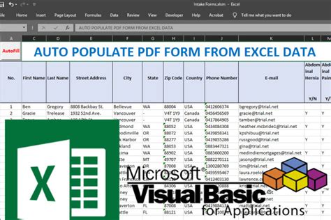 Automation For Filling PDF Forms From Excel Data With Excel VBA Macros For Freelancer