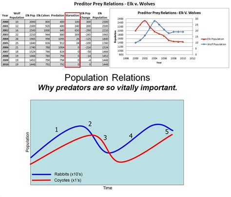 Population Dynamics Vista Heights 8th Grade Science