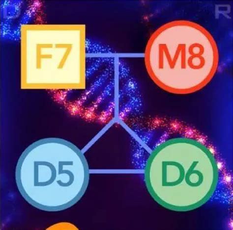 Grandomics希望组 三代测序基因组中心