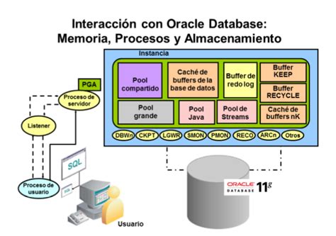 Administración De Database Oracle 11g Oracle Forums