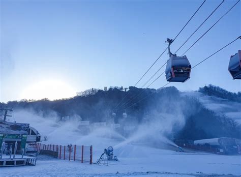 은빛 설원 질주 신나요올시즌 문연 강원 스키장에 3500여명 발길 파이낸셜뉴스