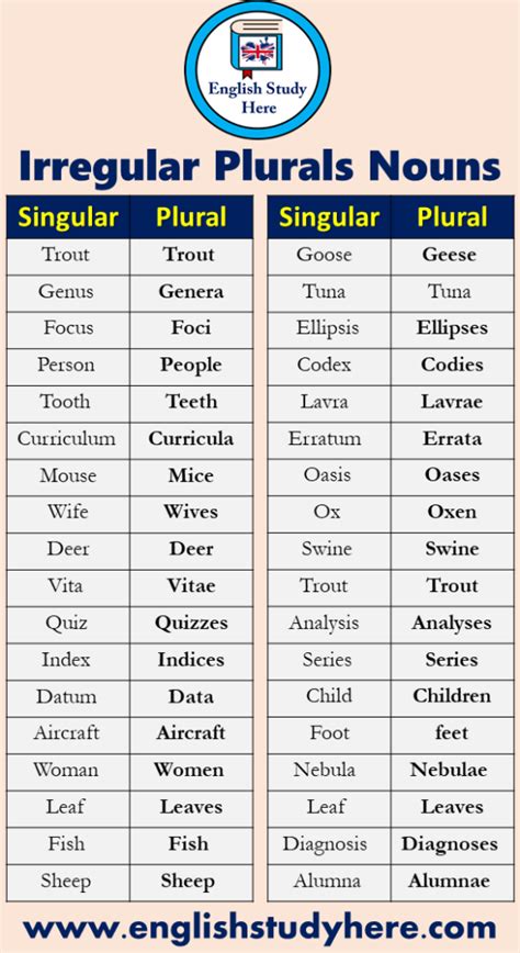 Examples Of Irregular Plural Nouns