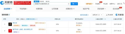 罗永浩卸任锤子科技集团法定代表人 仍为股东及实控人 东方财富网