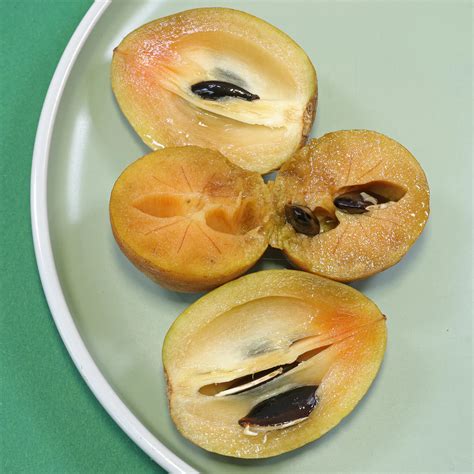 Sapotille Sapote Chico