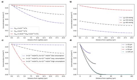 Example Simulations Showing Steady State Oxygen Concentration As A Download Scientific Diagram