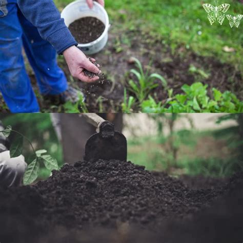 Komal Jaiswal On Linkedin Nutrientmanagement Sustainableagriculture