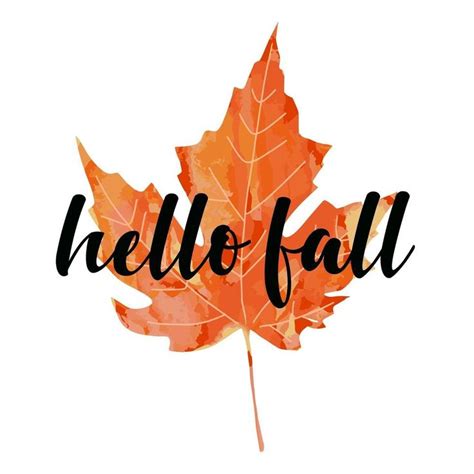 Hello Fall Calligraphy Lettering With Maple Leaf Vector Illustration