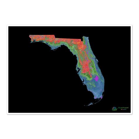 Relief Map Of Florida New Smyrna Beach Topographic Map Elevation