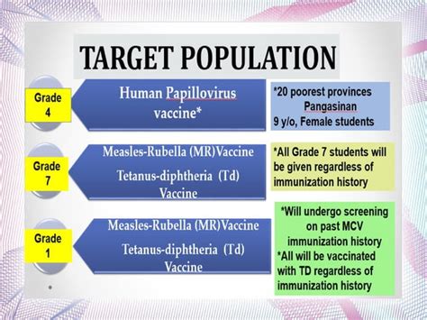 School Based Immunization Program Pptx