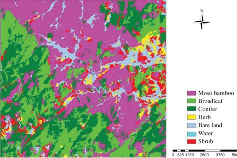 Final Classification Map Based On The Nn Classifier Download Scientific Diagram