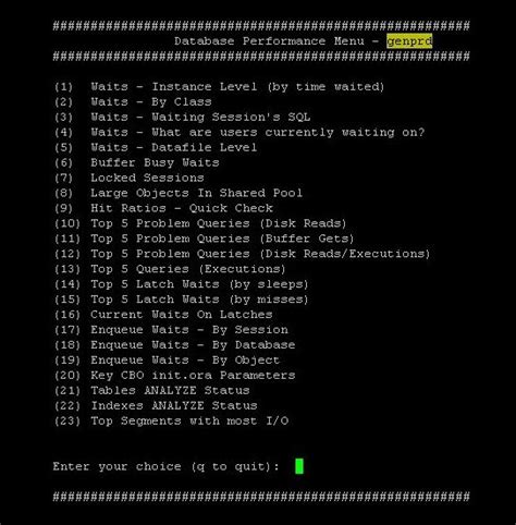 DBA Monitoring Menu Oracle DBA Tips And Techniques