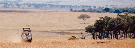 Les Essentiels De La Tanzanie Votre Safari Avec Oovatu