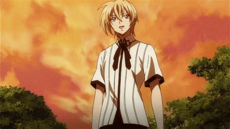 Yuuto Kiba High School Dxd Waifu Ecchiverse The Otaku Box