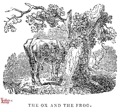 The Frog And The Ox Fables Of Aesop