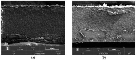 Polymers Free Full Text Membranes Based On Polyvinylidene Fluoride