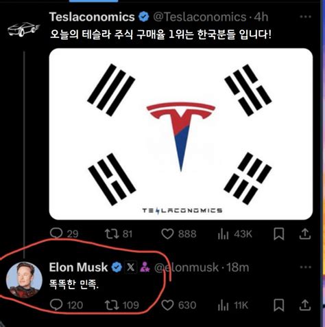 더쿠 일론 머스크 한국인은 똑똑한 민족