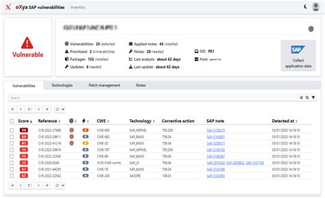 Vulnerability Management By Oxya Oxya