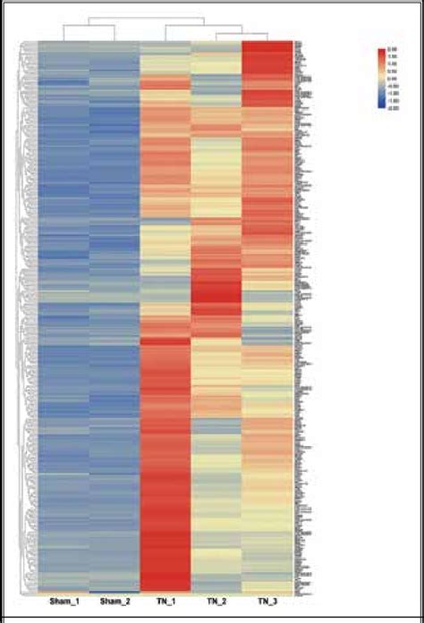 Genetic Clustering Of Differential Expression Genes Log2fc 2 Q