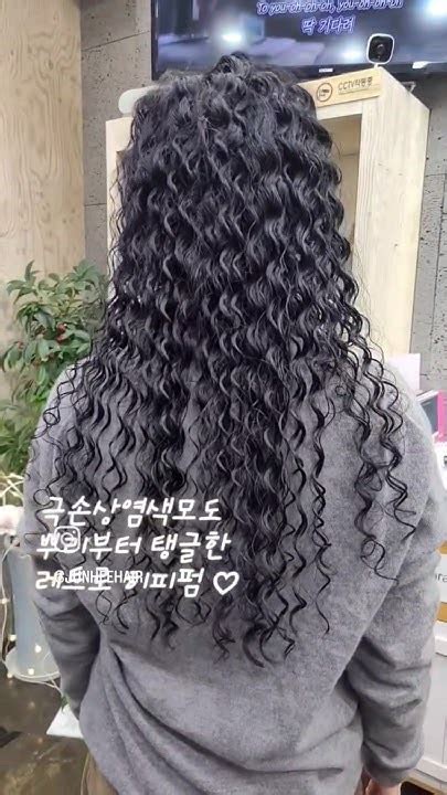 히피펌을 고민하고 계신다면컬이 뿌리부터 탄력 있게 표현되는 히피펌트위스트 히피펌 뉴 히피펌으로준희헤어 김포장기점에서 뵙겠습니다 김포장기동미용실 김포히피펌