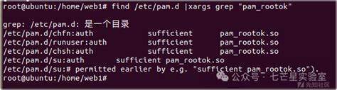 基于linux权限维持总结（非常详细）零基础入门到精通，收藏这一篇就够了 linux自启动权限维持 csdn博客